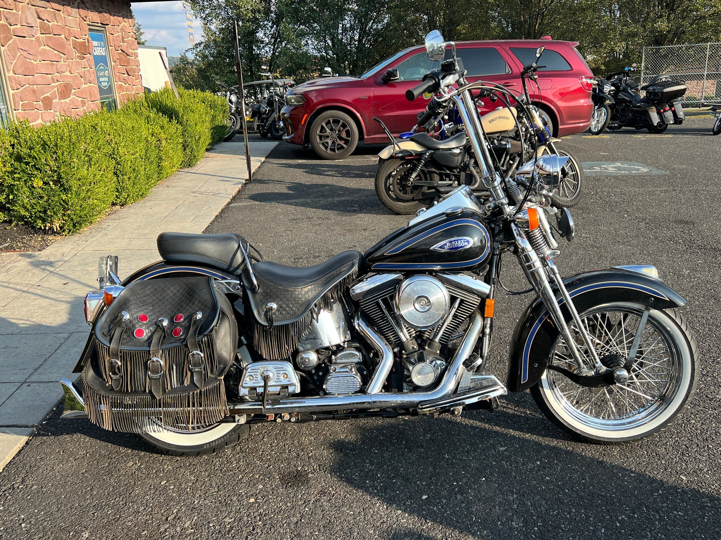 1998 Harley-Davidson Softail Heritage Springer FLSTS Evolution Survivo ...