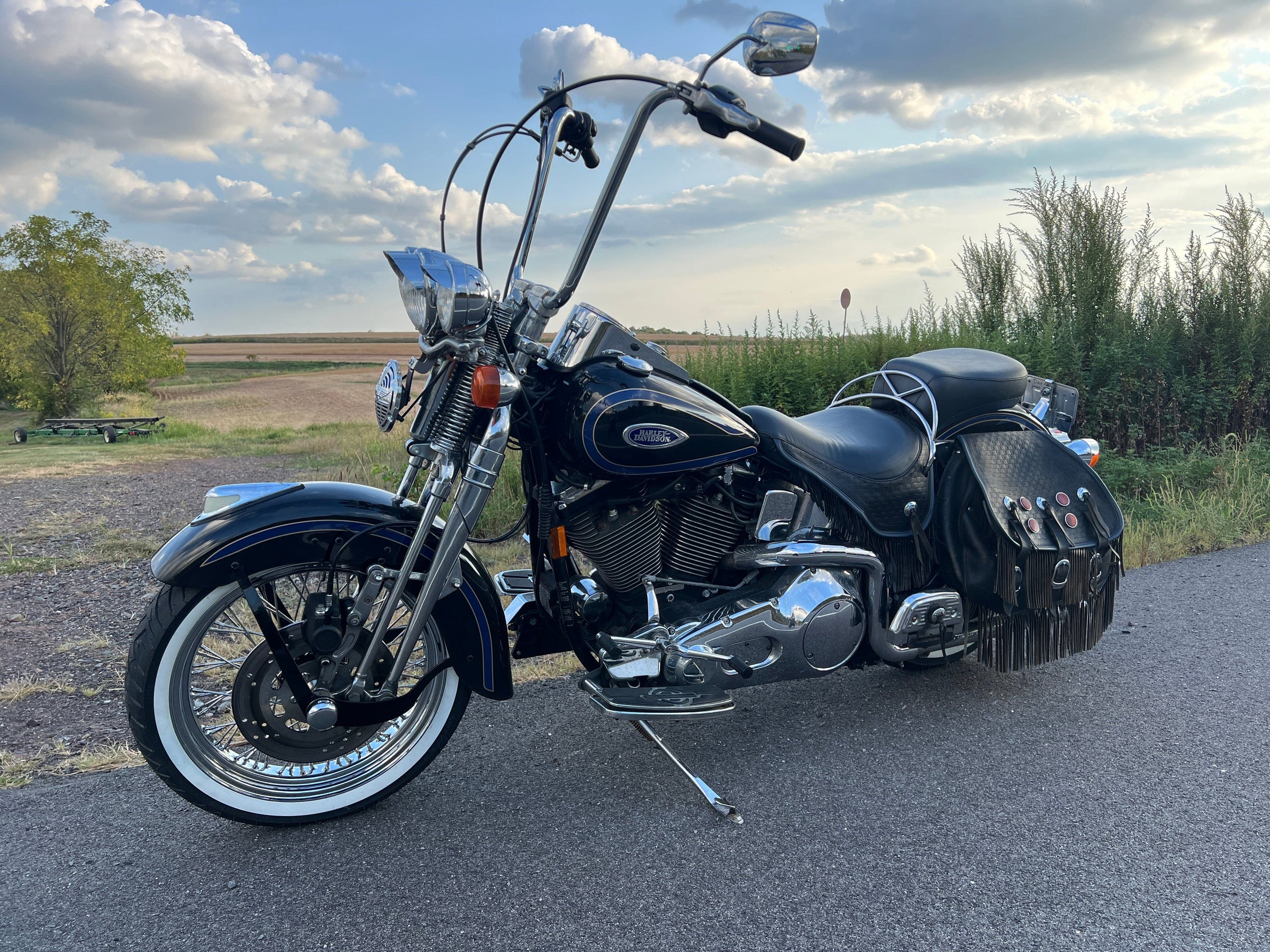 1998 Harley-Davidson Softail Heritage Springer FLSTS Evolution Survivo ...