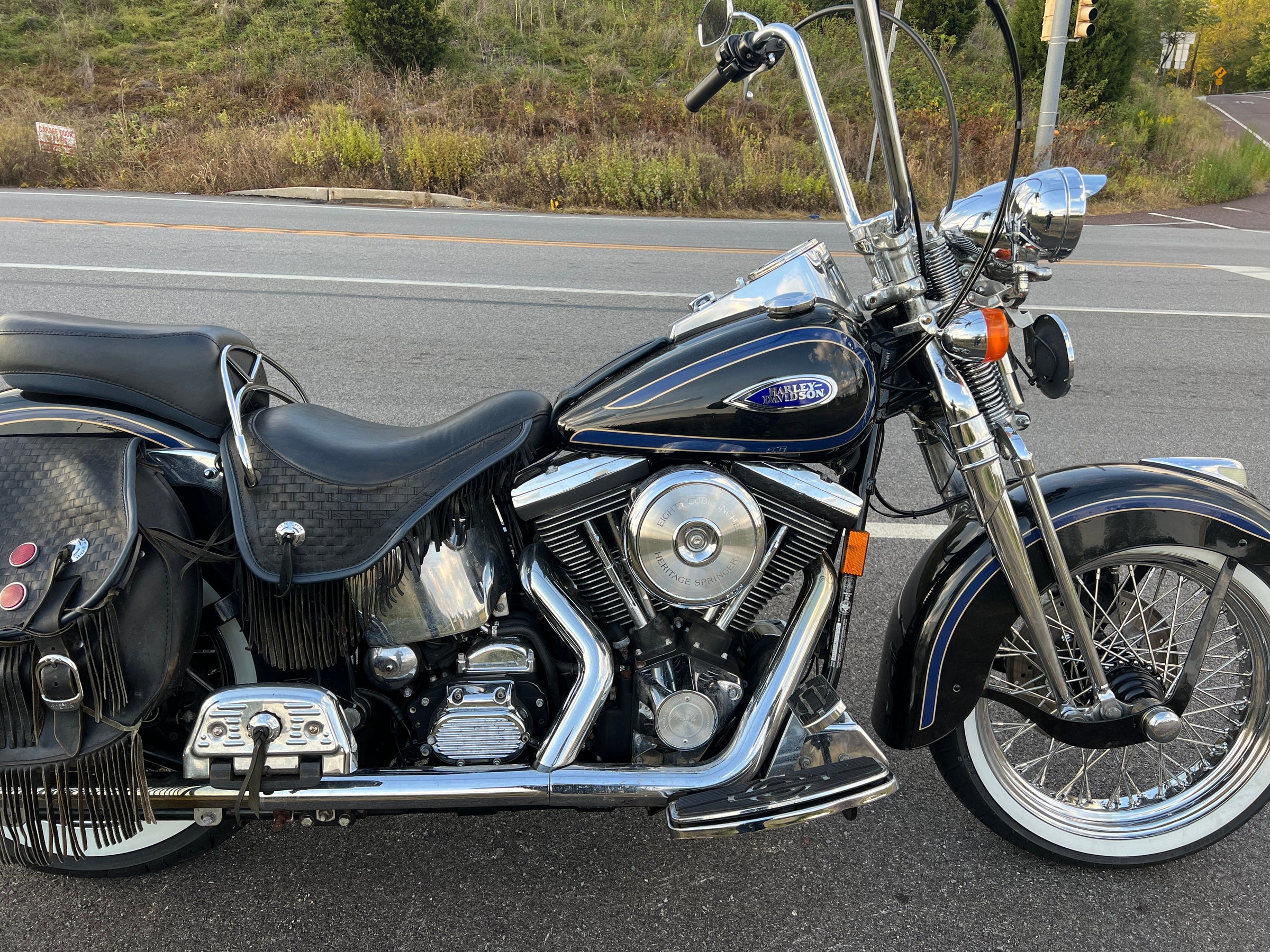 1998 Harley-Davidson Softail Heritage Springer FLSTS Evolution Survivo ...