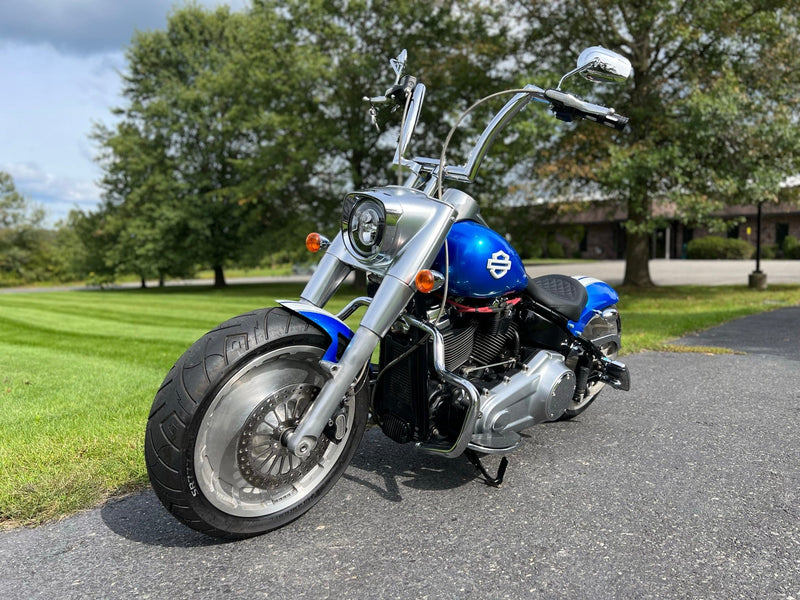 Harley Davidson Fatboy Custom Paint